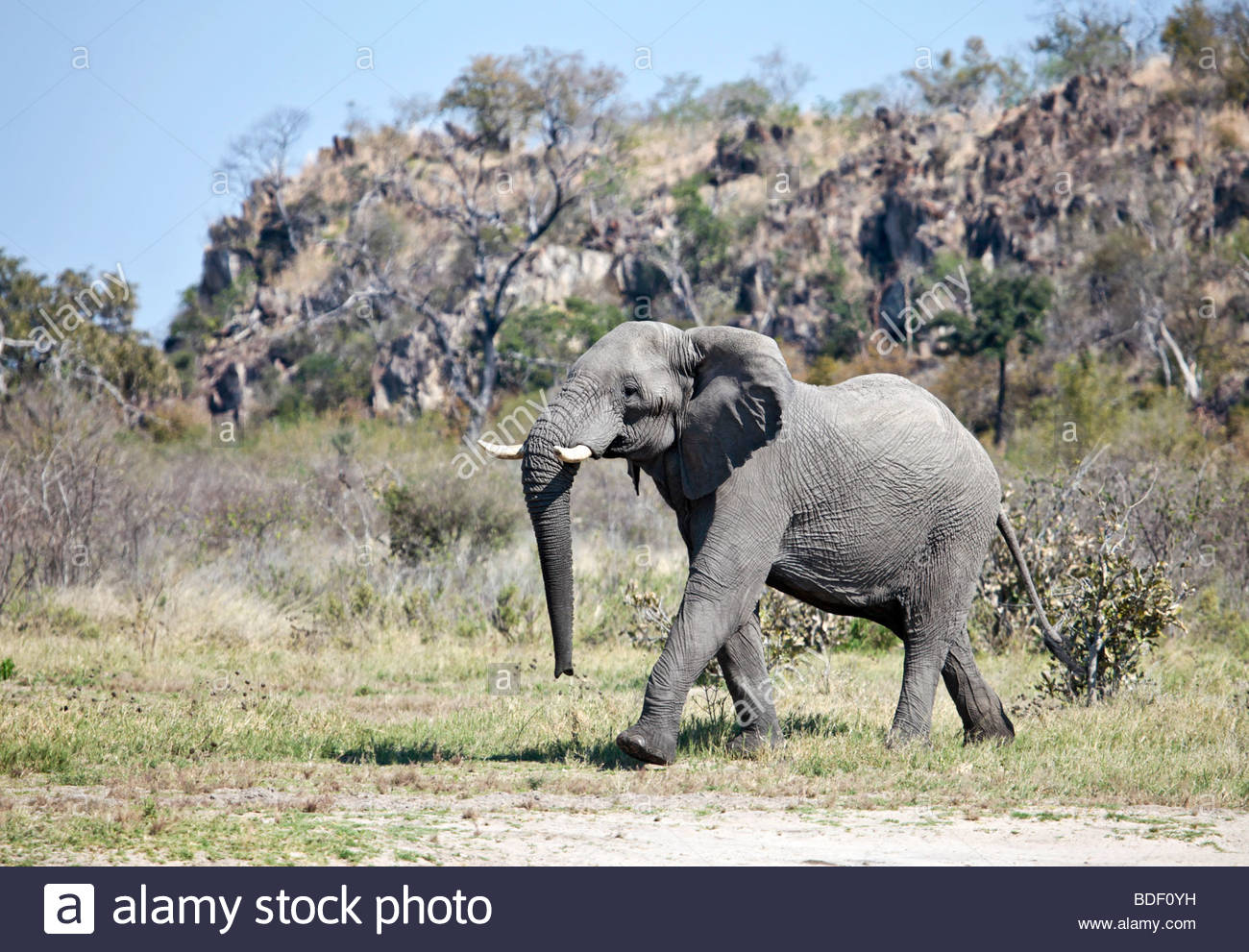 Kopje Stock Photos & Kopje Stock Images - Alamy