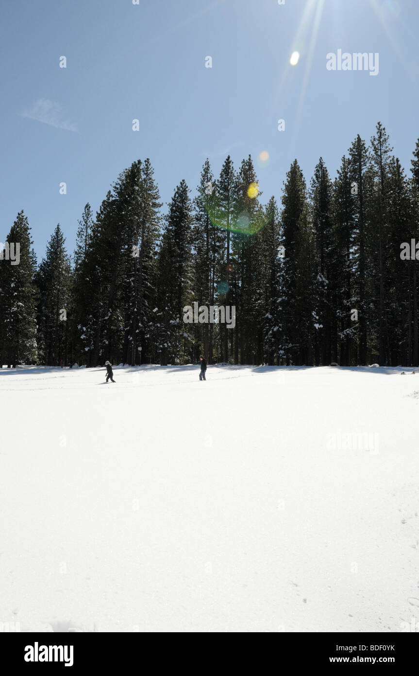 Snowy place of fun, families frolic and sledge near icy lake in soft ...