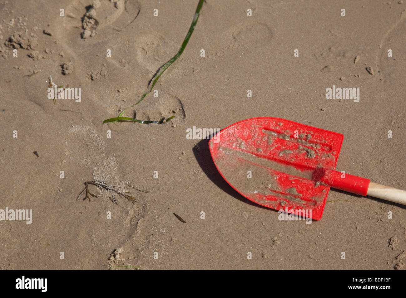 Spade shovel hi-res stock photography and images - Alamy