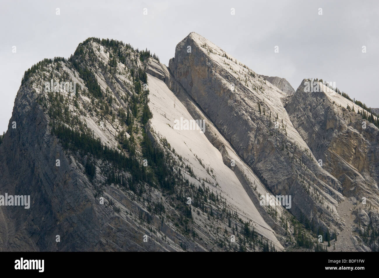 Sheer rock face, mountains in Jasper National Park Stock Photo - Alamy