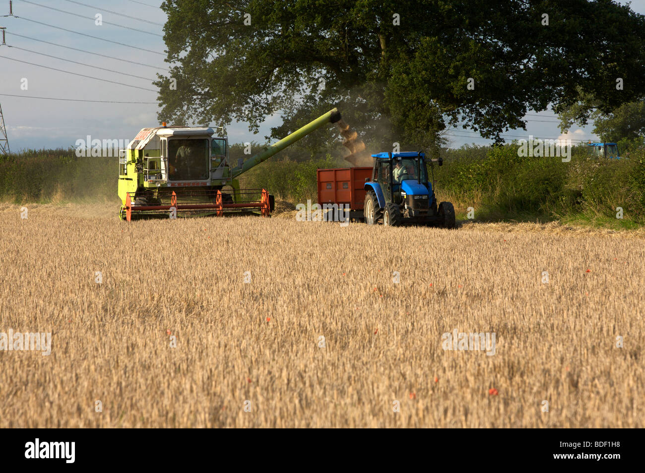 Class Dominator 106 Combine Harvester Cutting Barley Stock Photo - Alamy