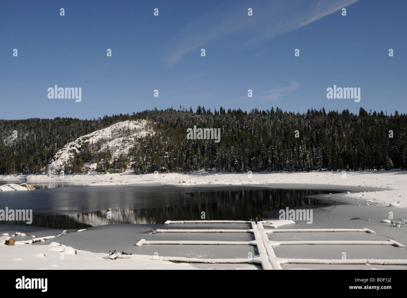 Snowy place of fun, families frolic and sledge near icy lake in soft ...