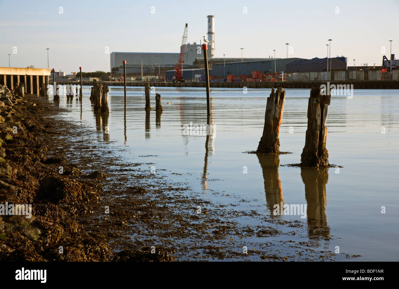 River yare quay hi-res stock photography and images - Alamy