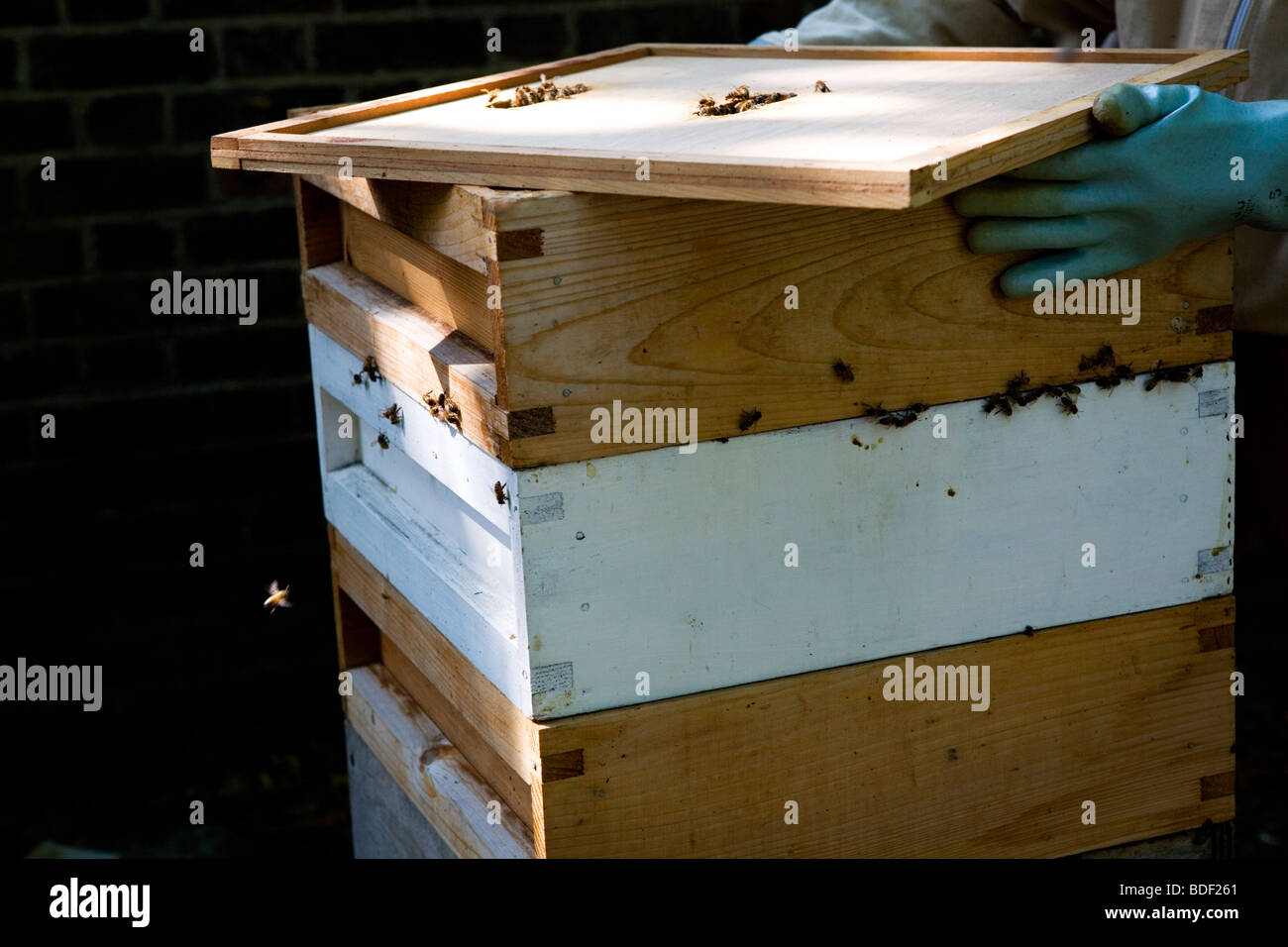 A Langsthorn beehive in London, UK Stock Photo - Alamy