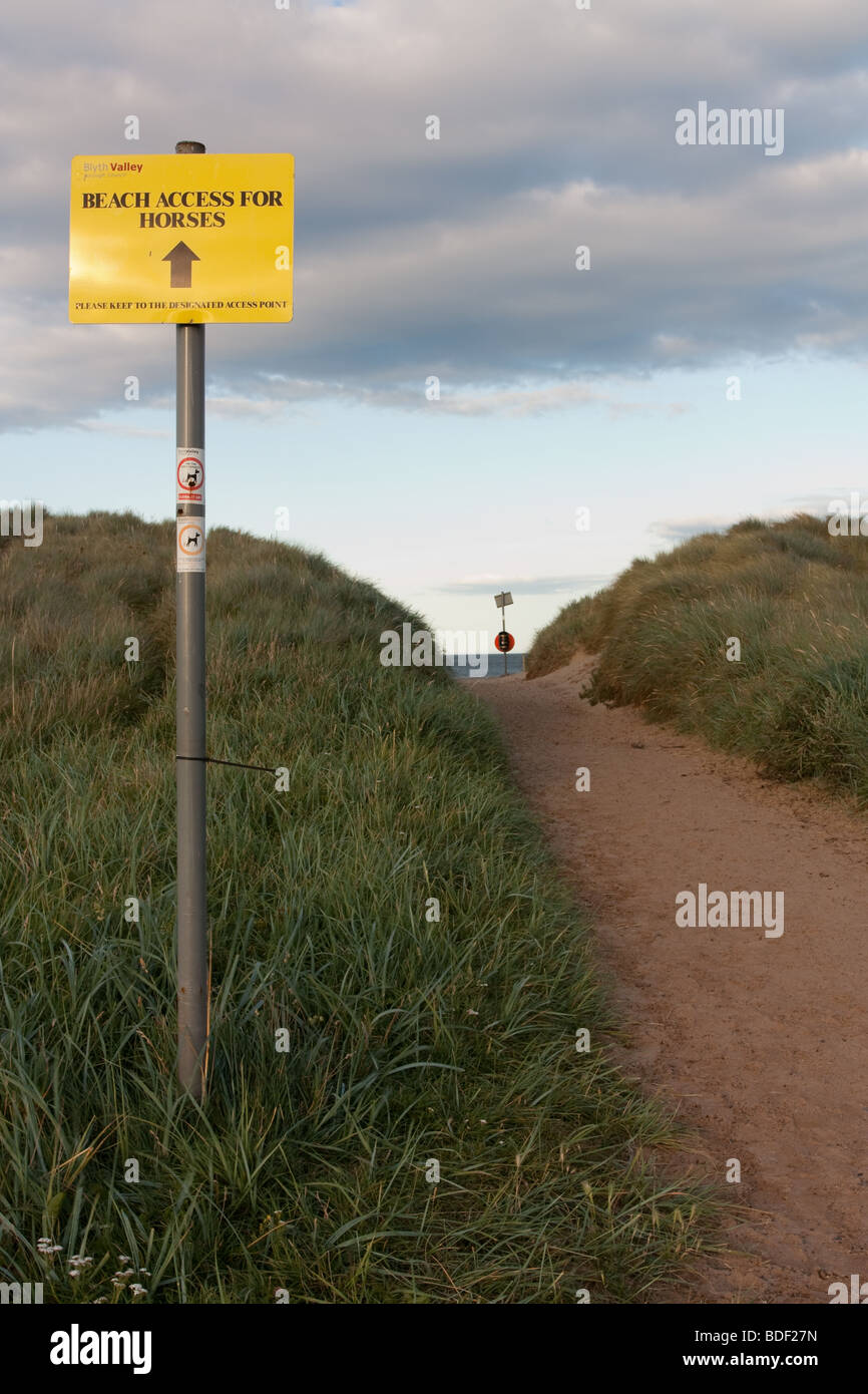 Blyth beach and promenade at dusk, Northumberland Coast Stock Photo - Alamy
