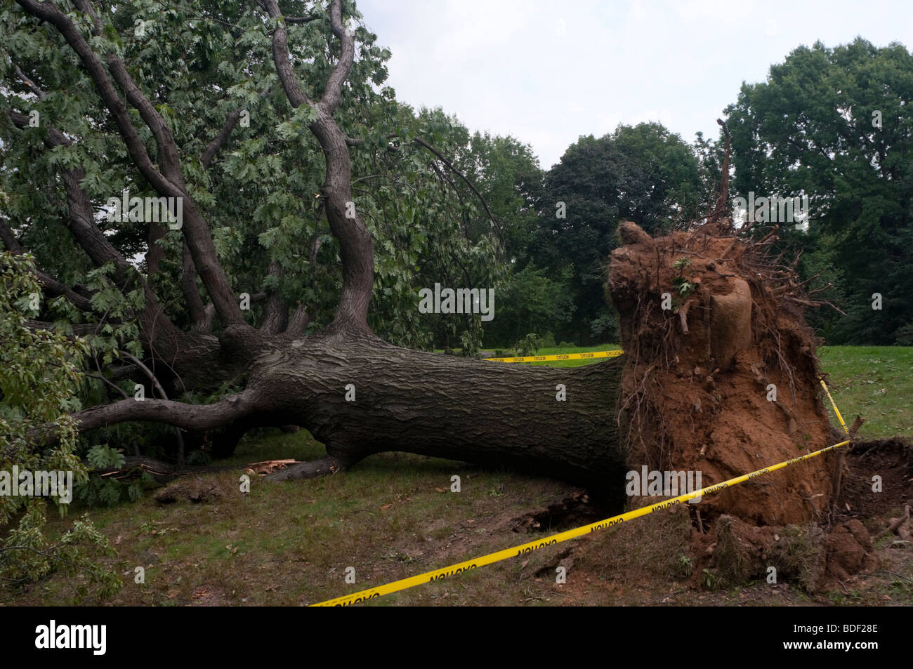Storm debris hi-res stock photography and images - Alamy