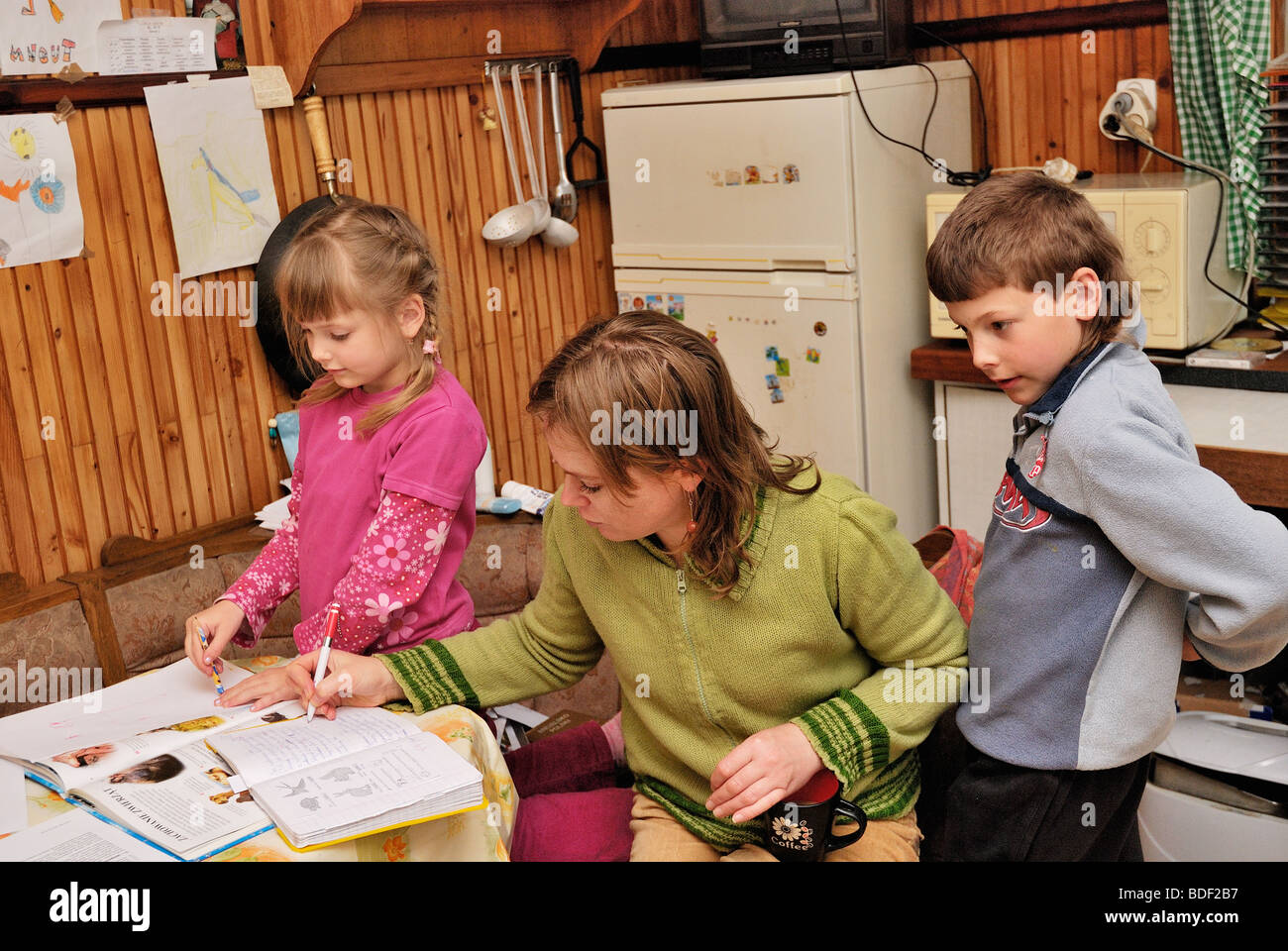 Mother verification the homework Stock Photo - Alamy