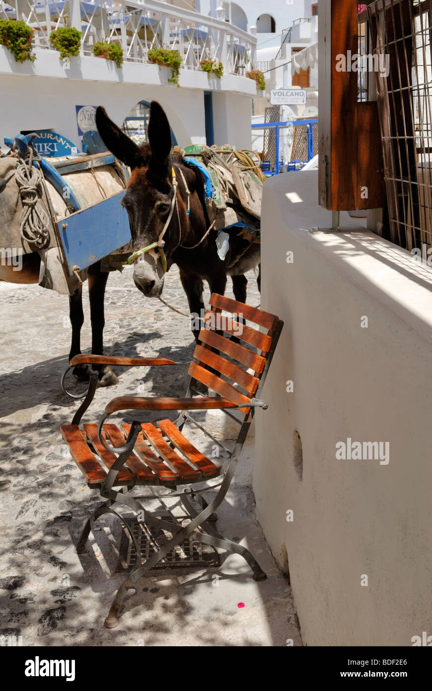 Two donkeys at the Donkey Station and the donkey driver seat. The old ...