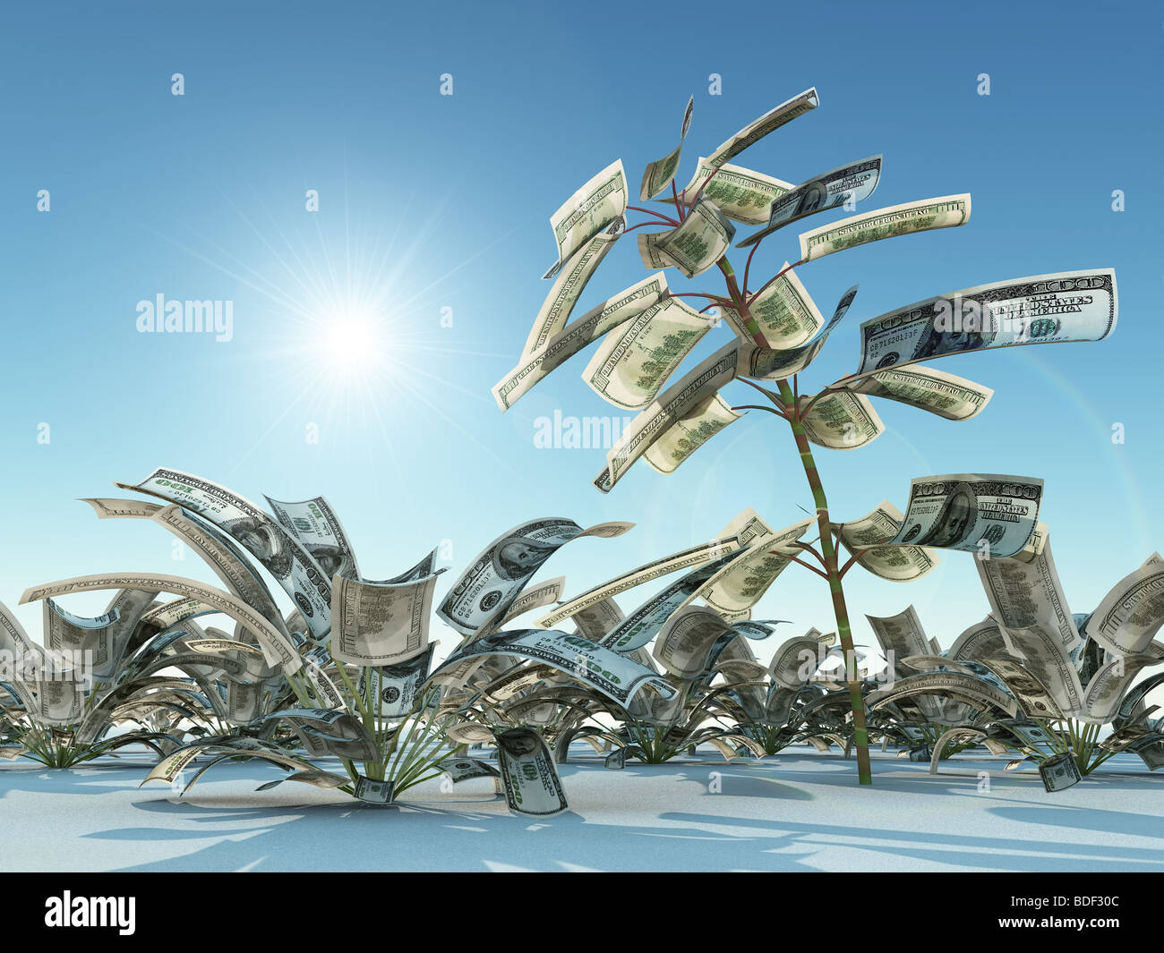 growing dollars, 3d illustration Stock Photo - Alamy