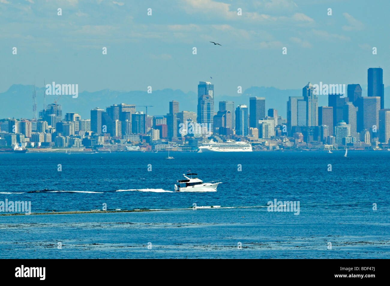 View of downtown Seattle from the sea Stock Photo - Alamy