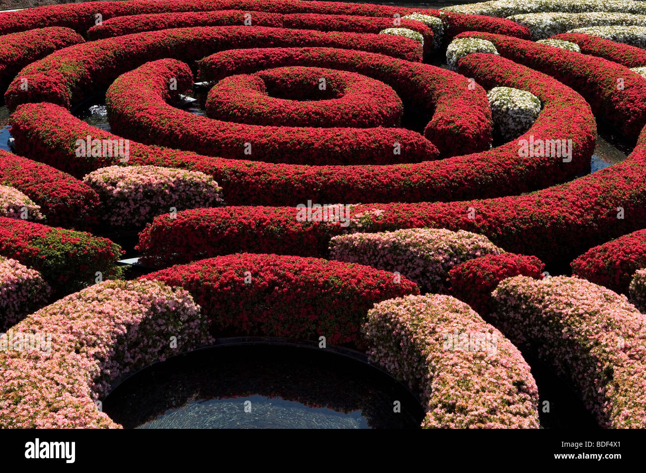 Garden at The Getty Center for the Arts Stock Photo - Alamy