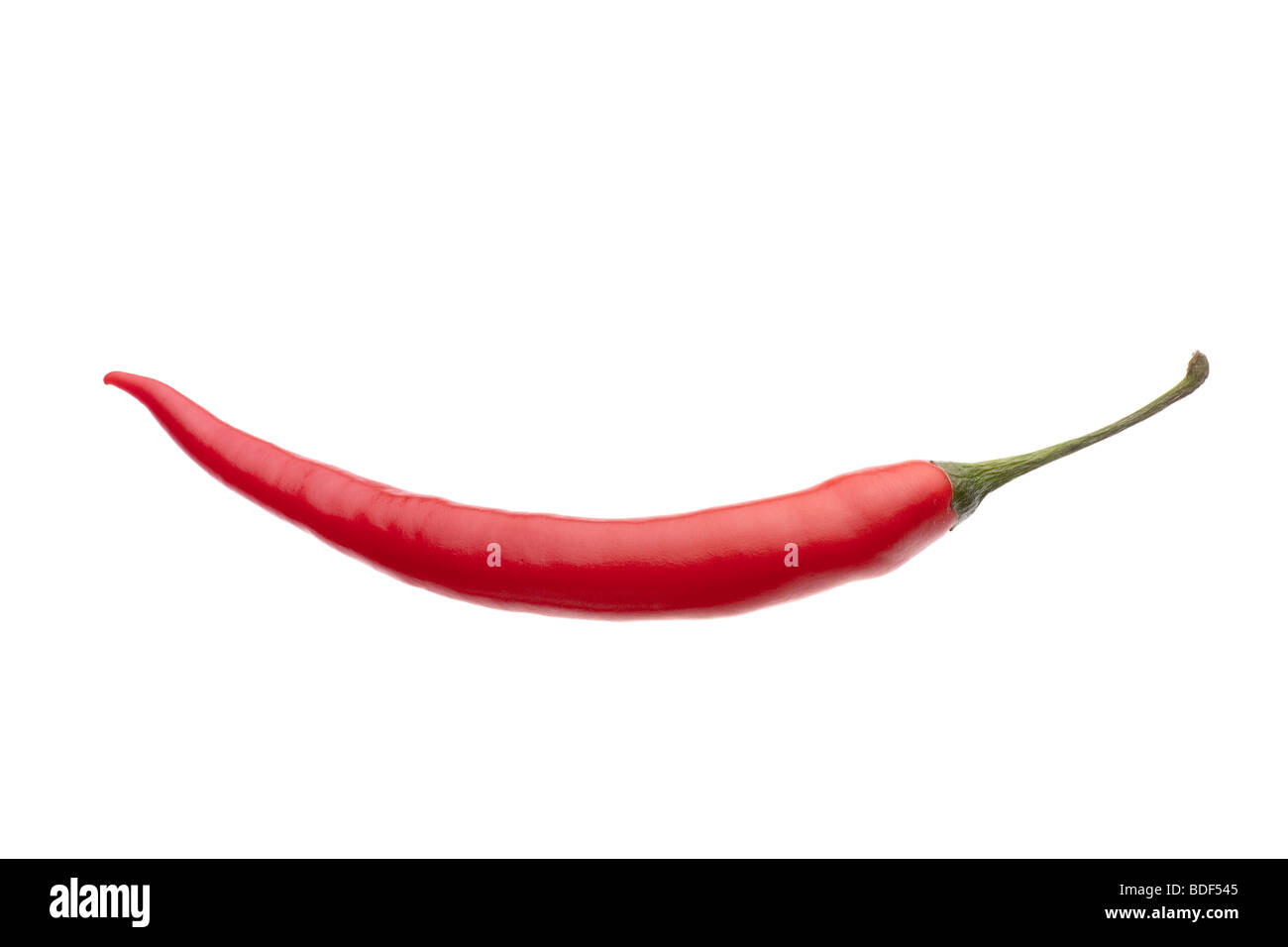 Large red Chilli studio shot against white background including ...