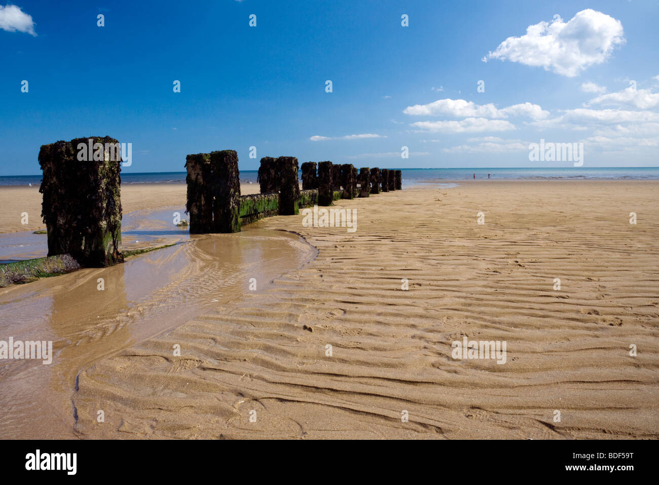 Sand patterns and groynes running down into the sea, covered in seaweed ...