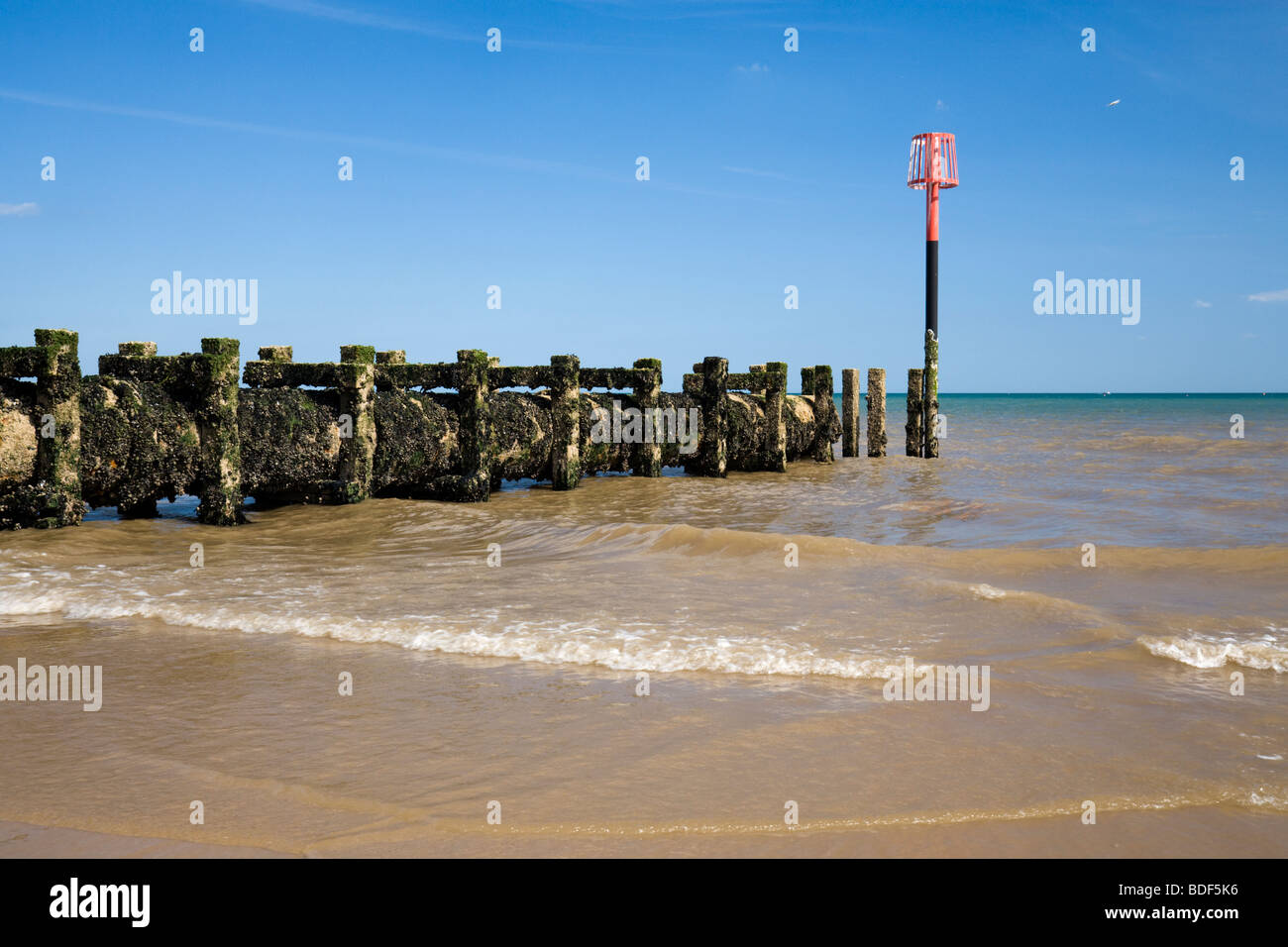 Groynes running down into the sea covered in seaweed and limpets on ...