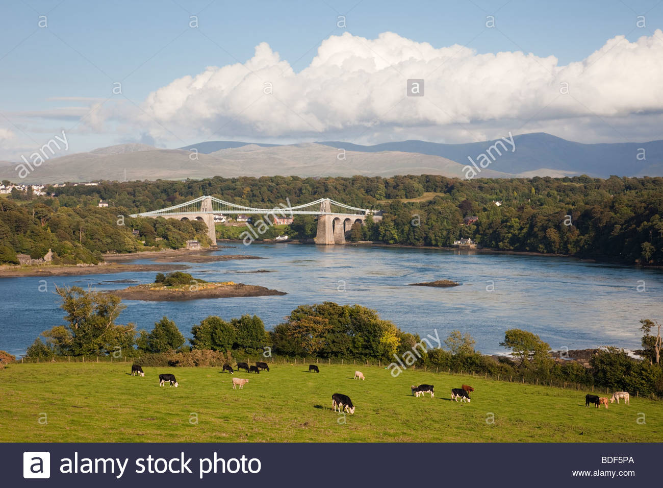 Menai Strait High Resolution Stock Photography and Images - Alamy