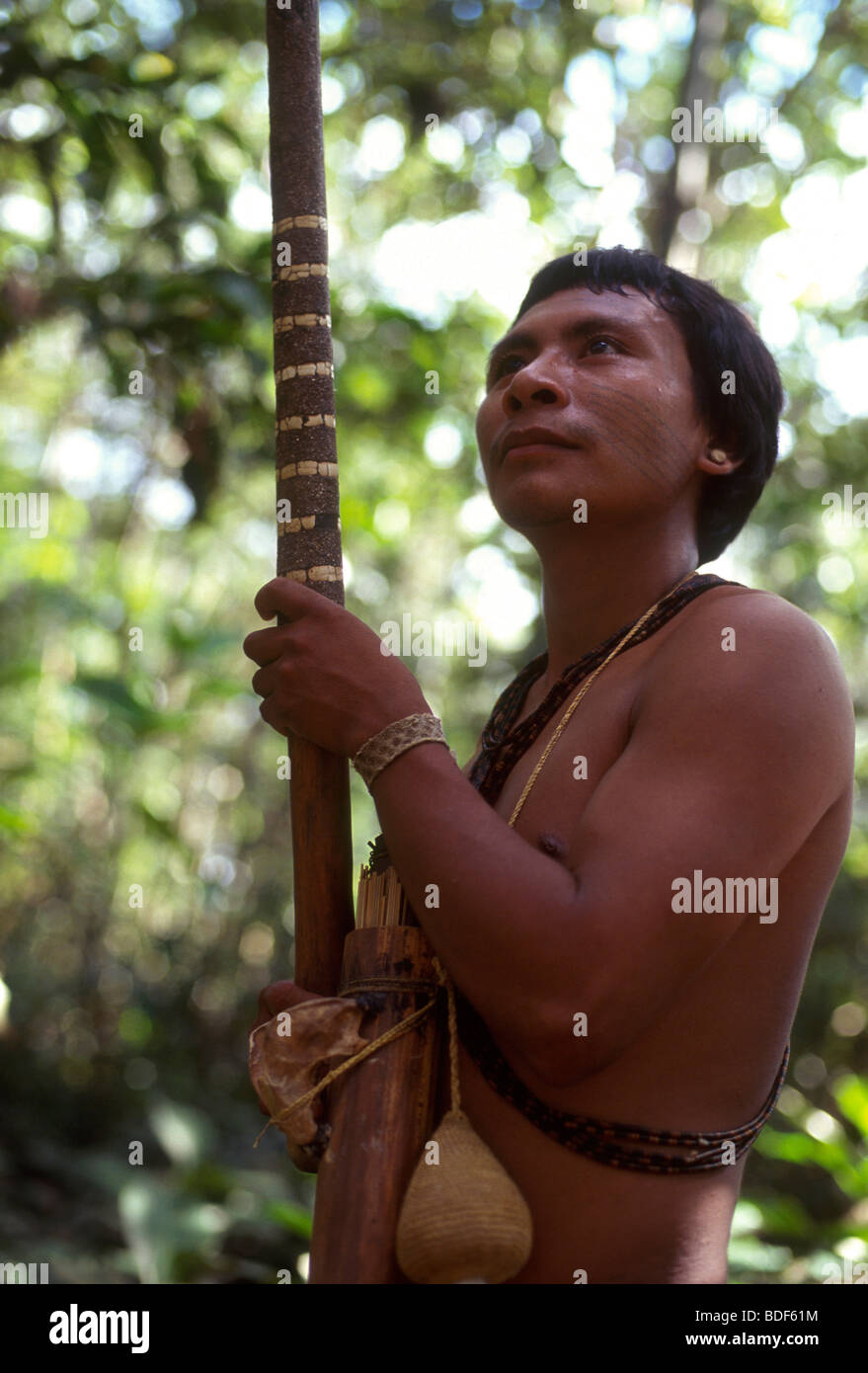 Matis Indigenous People, Amazon rain forest, Brazil Stock Photo - Alamy