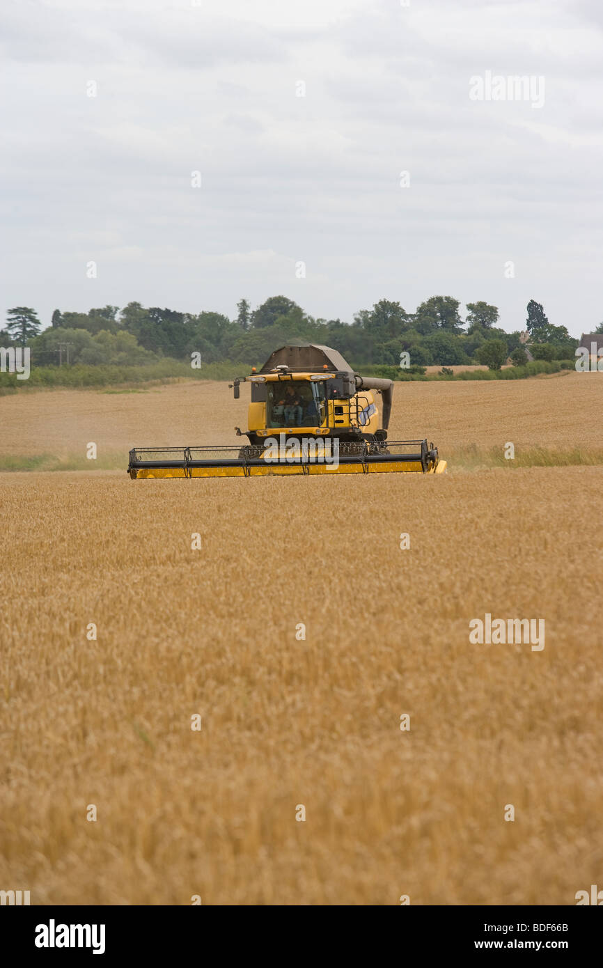 New Holland Combine Harvesting Barley Stock Photo - Alamy