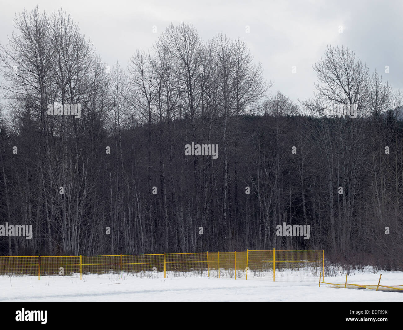 Yellow fence hi-res stock photography and images - Alamy