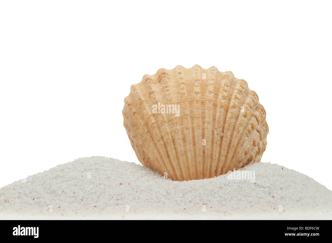 Paradise isolated on white hi-res stock photography and images - Alamy