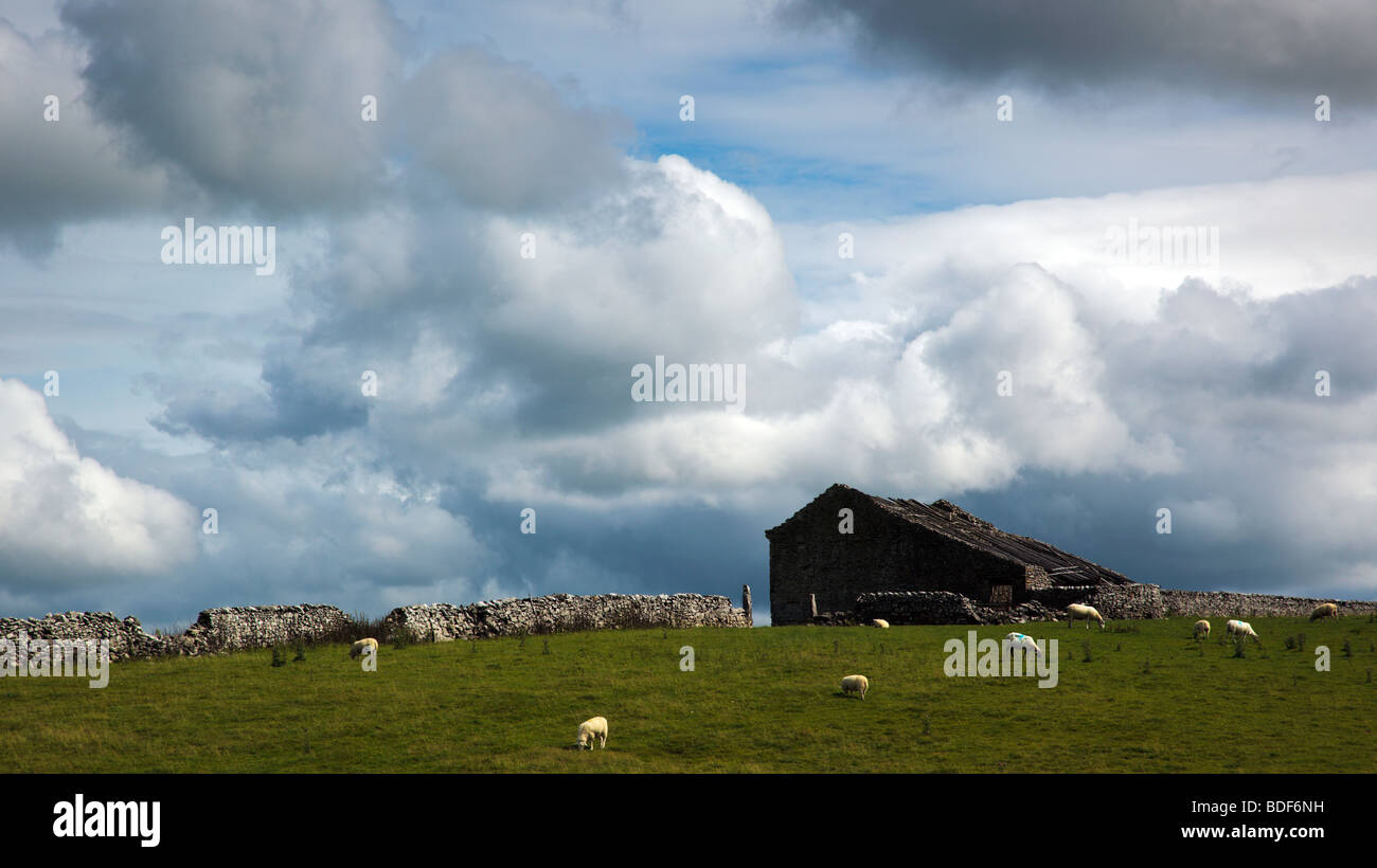 Derelict Barn Yorkshire Dales England UK Stock Photo - Alamy
