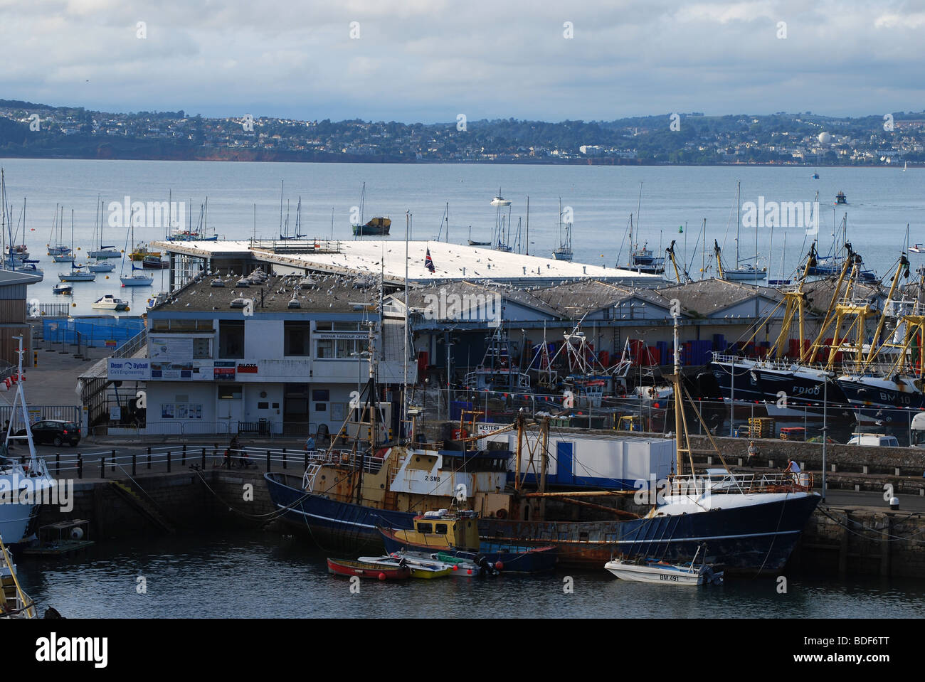 Brixham fish hi-res stock photography and images - Alamy