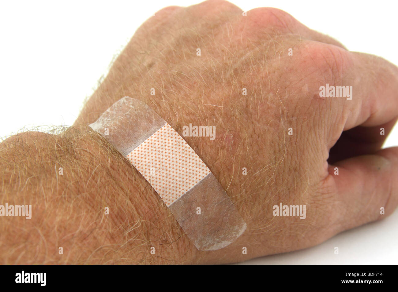 Translucent transparent hi-res stock photography and images - Alamy