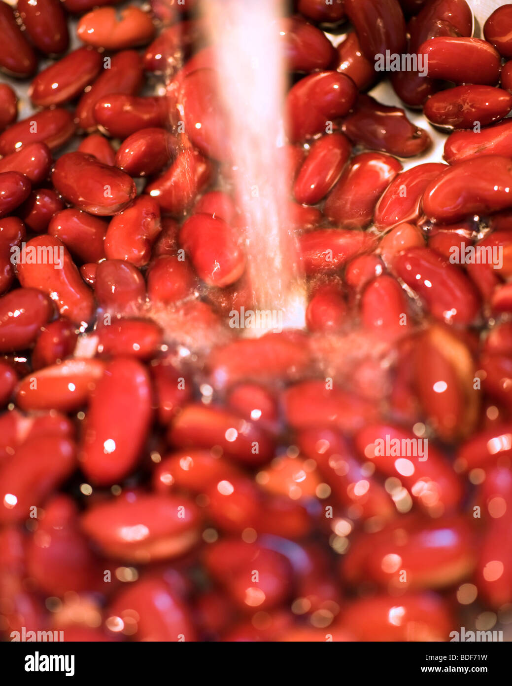 Red kidney beans in water hi-res stock photography and images - Alamy
