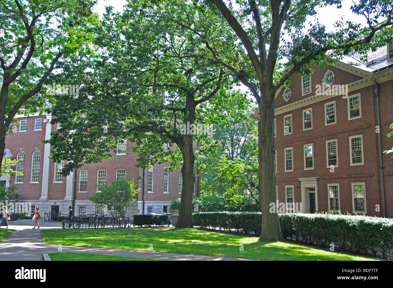 Harvard University campus in Cambridge, Massachusetts Stock Photo - Alamy