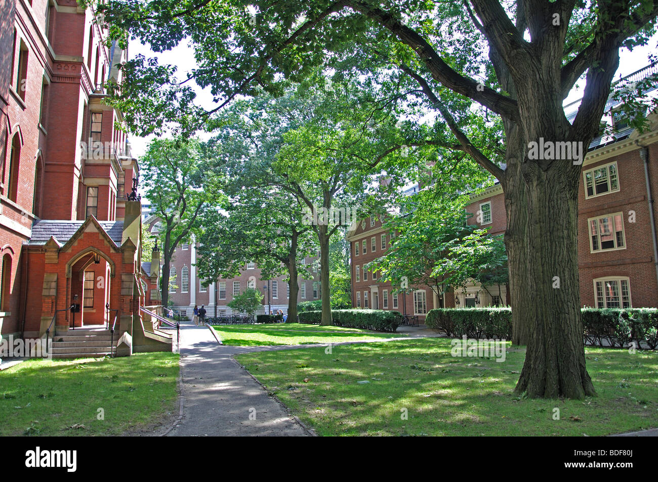Harvard University campus in Cambridge, Massachusetts Stock Photo - Alamy
