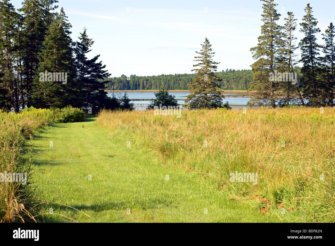 Path cut hi-res stock photography and images - Alamy