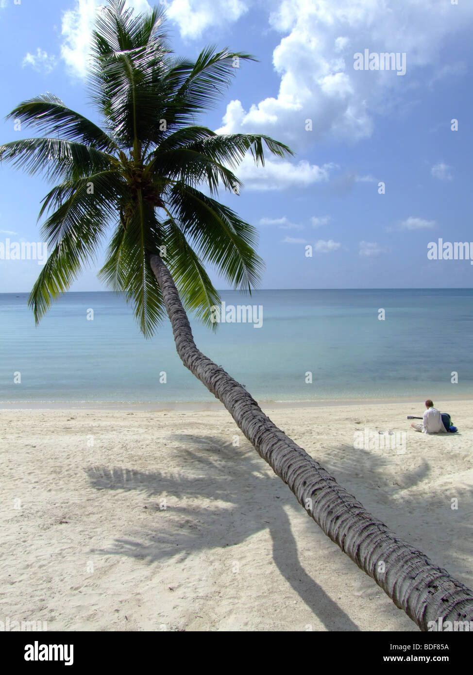 Palm tree stretched out over a white beach facing the sea, Haad Salad ...