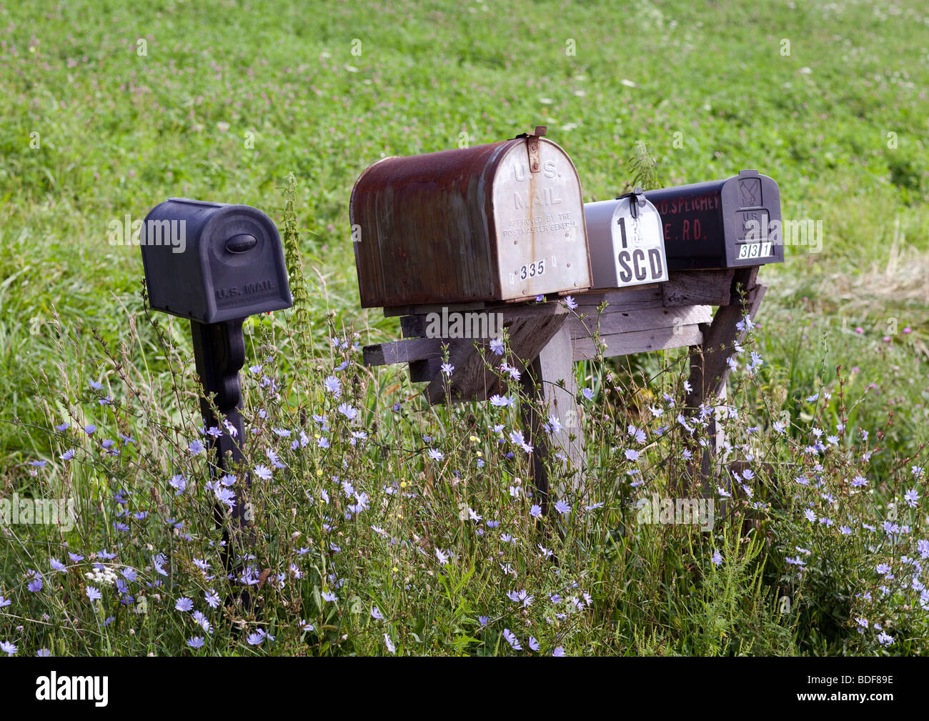 Mailboxes by the side of a road Stock Photo - Alamy