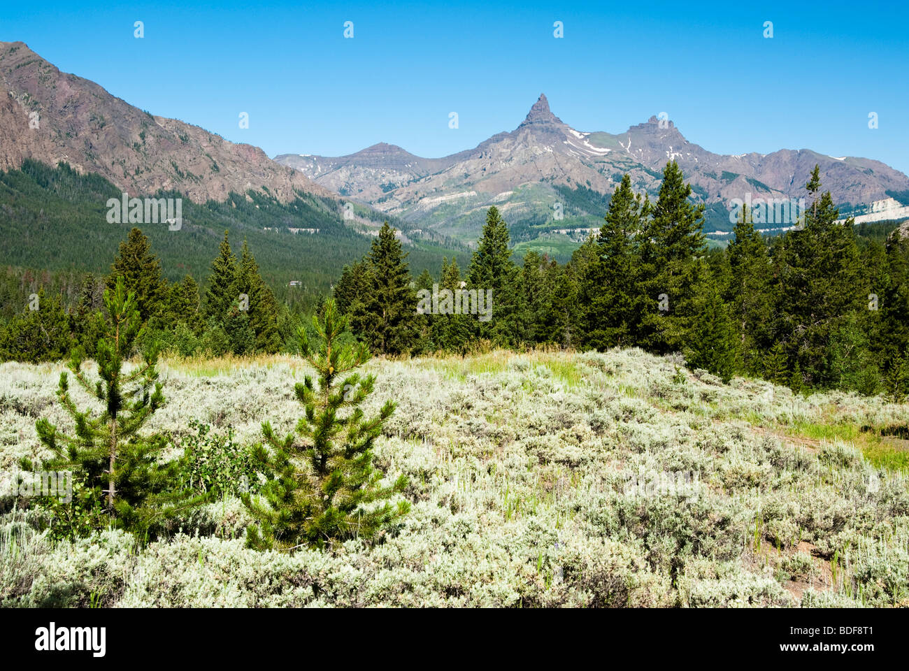Beartooth peak hi-res stock photography and images - Alamy