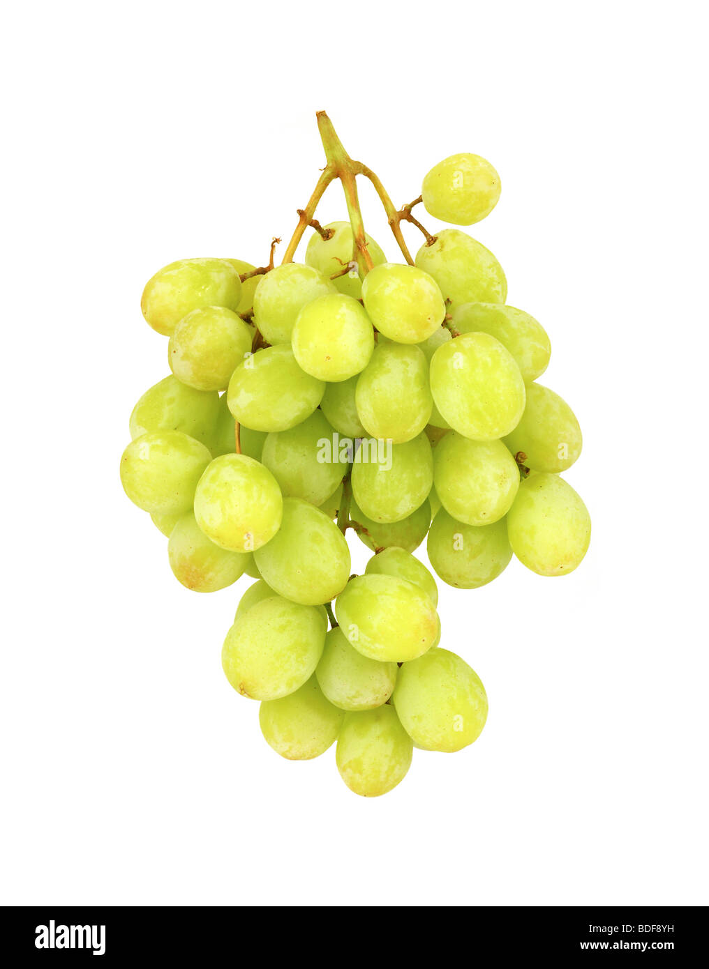 Bunch fresh white green Cut Out Stock Images & Pictures - Alamy