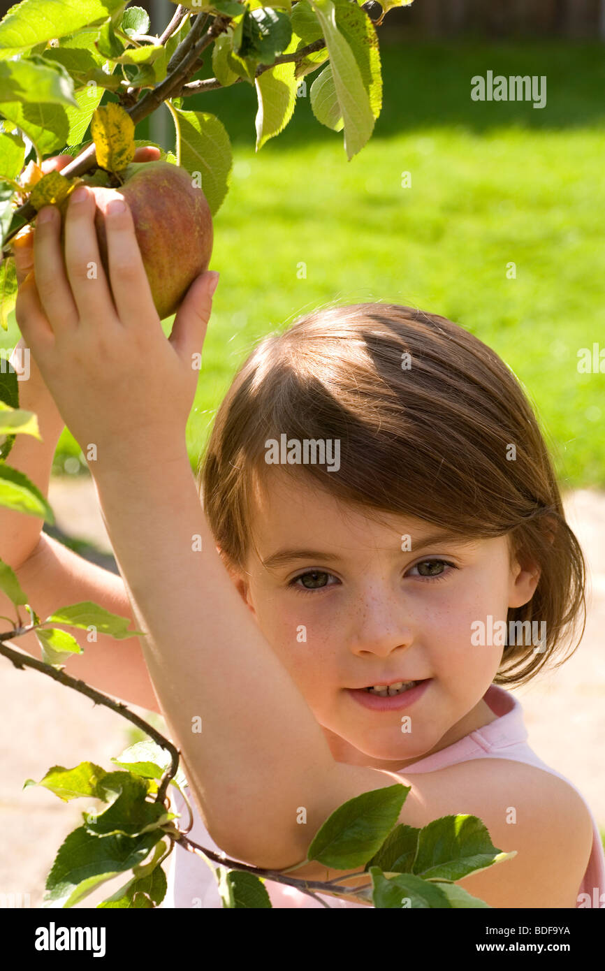 Healthy eating for children, pick your own apples in the garden ...