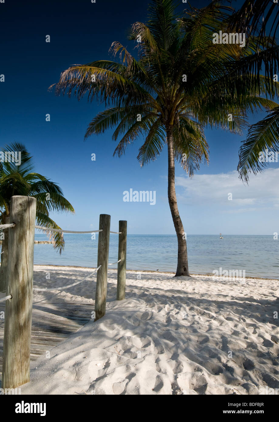 Welcoming path onto the palm shaded beach on Key West Stock Photo - Alamy