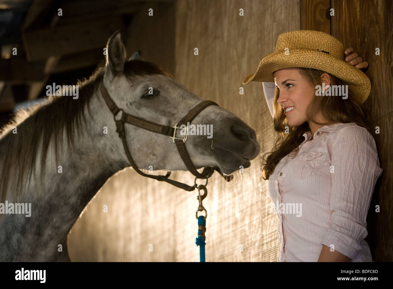 Young woman with white Gelding horse in stable Stock Photo - Alamy