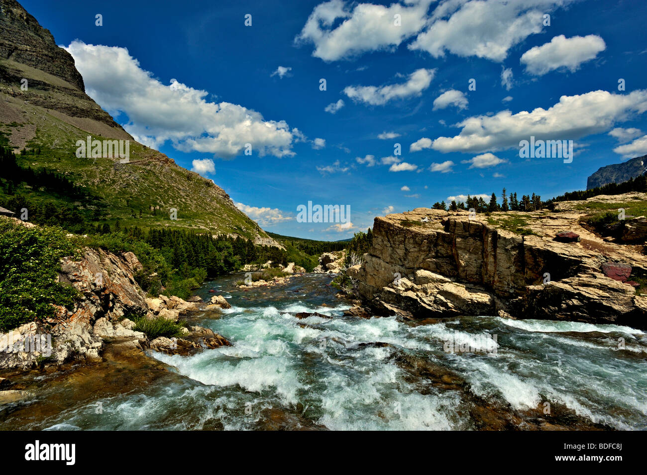 A fast flowing stream in Glacier National park in Montana, USA Stock ...