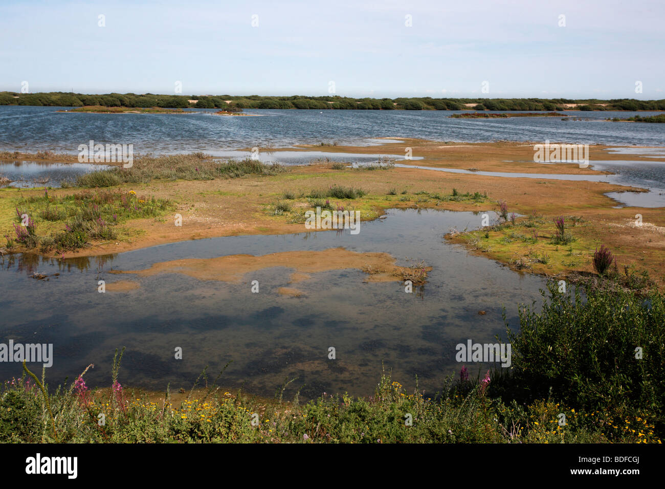 Kent wildlife nature reserve hi-res stock photography and images - Alamy