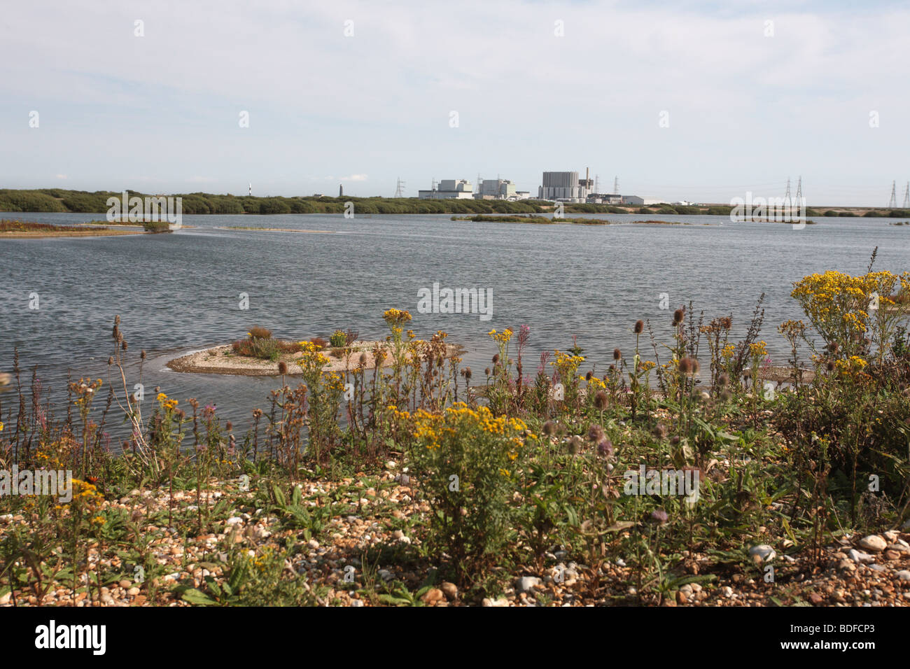 Kent wildlife nature reserve hi-res stock photography and images - Alamy