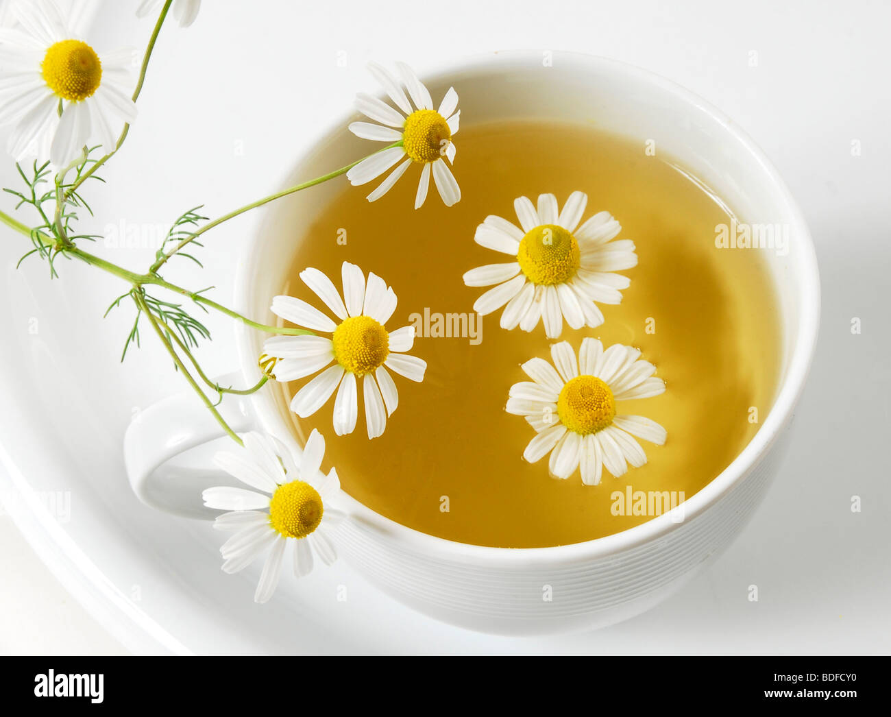 Chamomile teas hi-res stock photography and images - Alamy