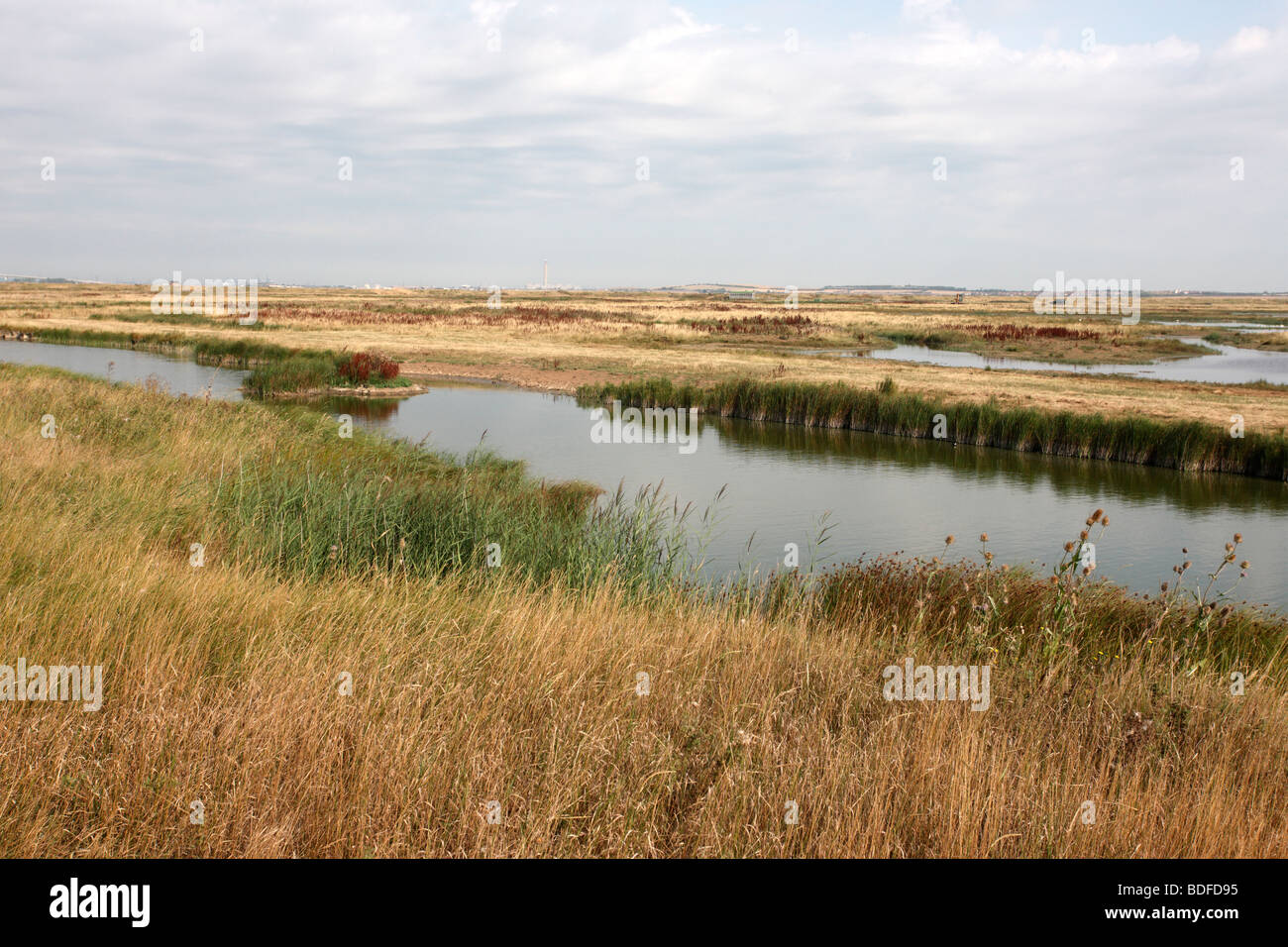 Kent wildlife nature reserve hi-res stock photography and images - Alamy
