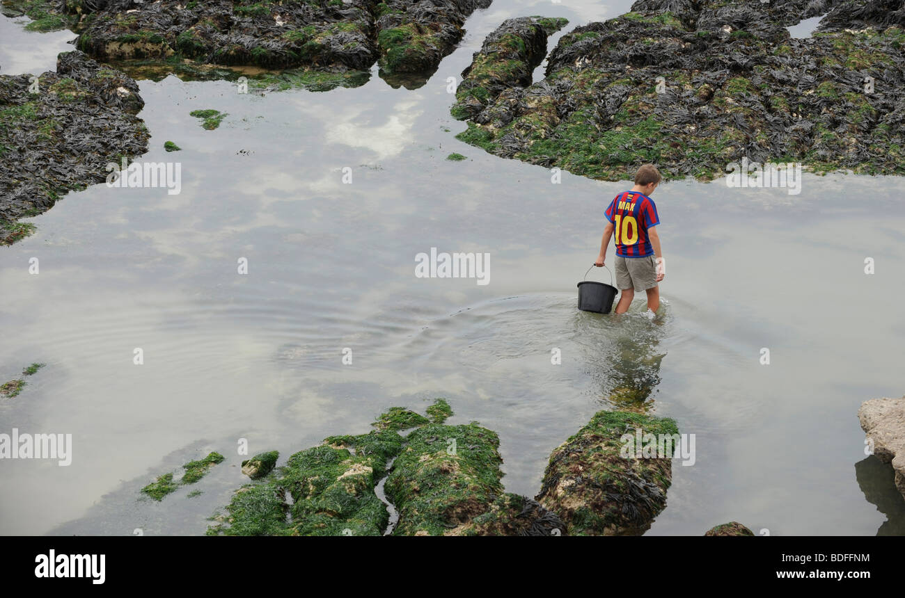 Rockpool beach hi-res stock photography and images - Alamy