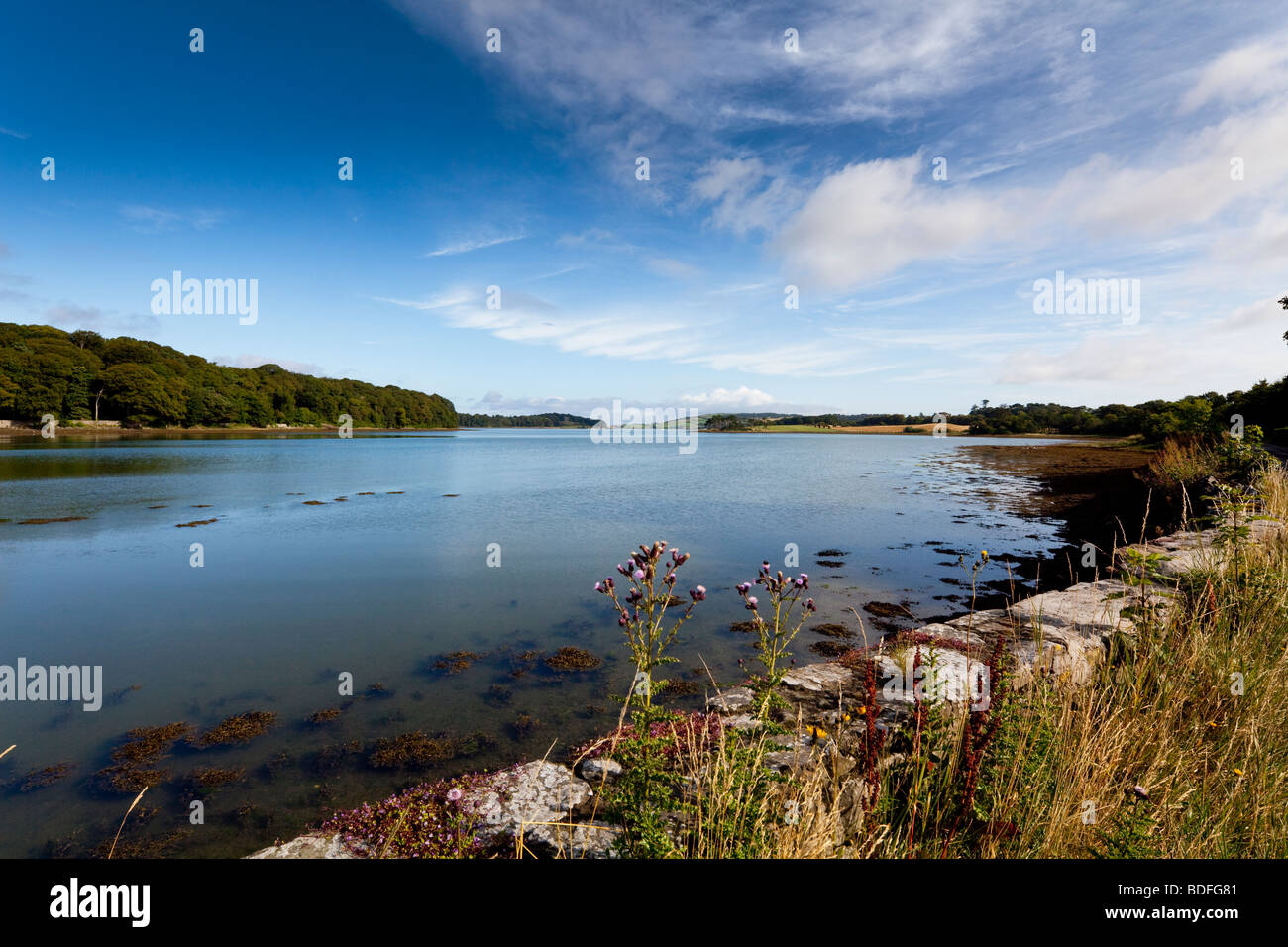 Strangford lough hi-res stock photography and images - Alamy
