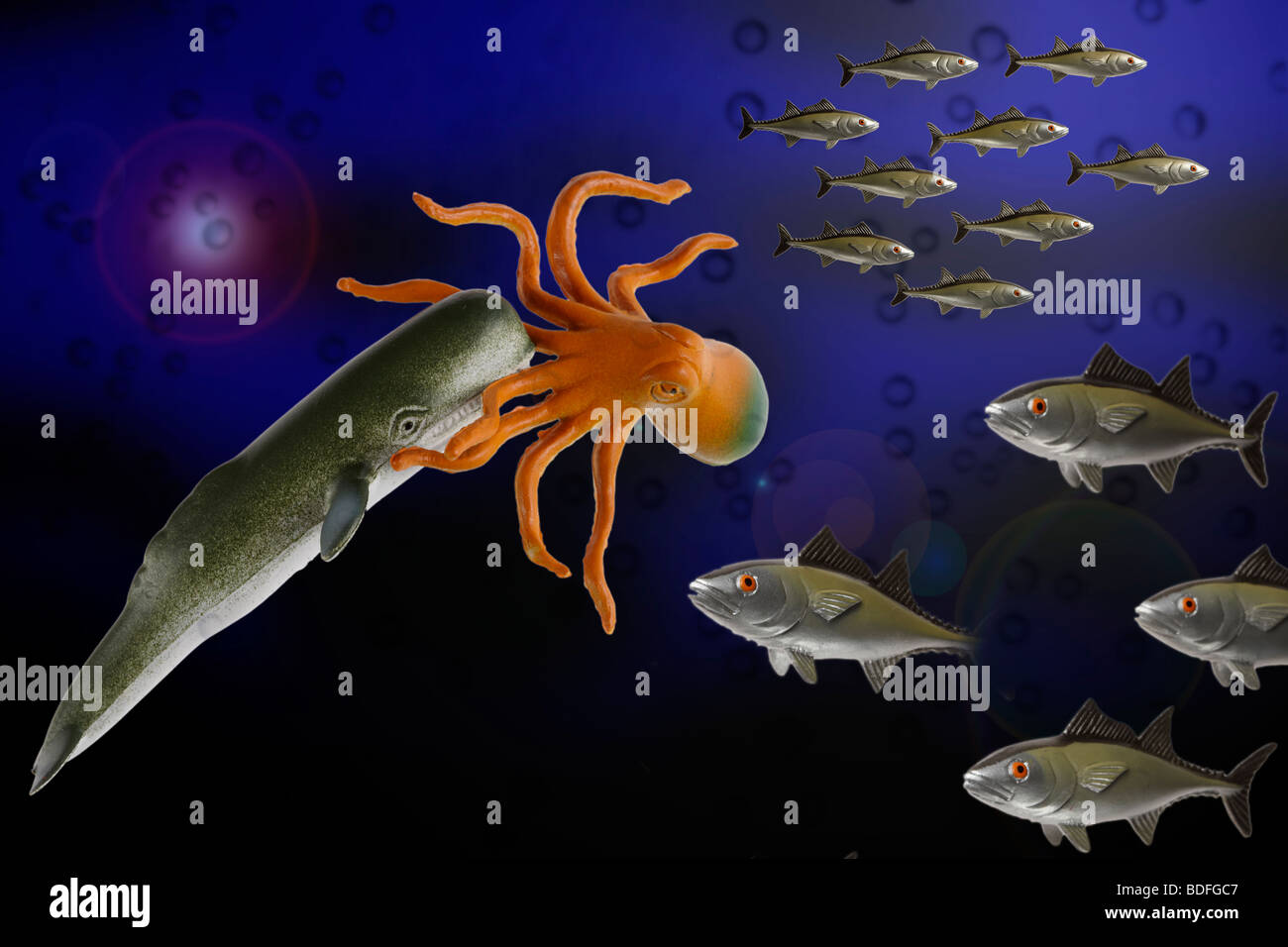 Deep Sea Fight Stock Photo - Alamy