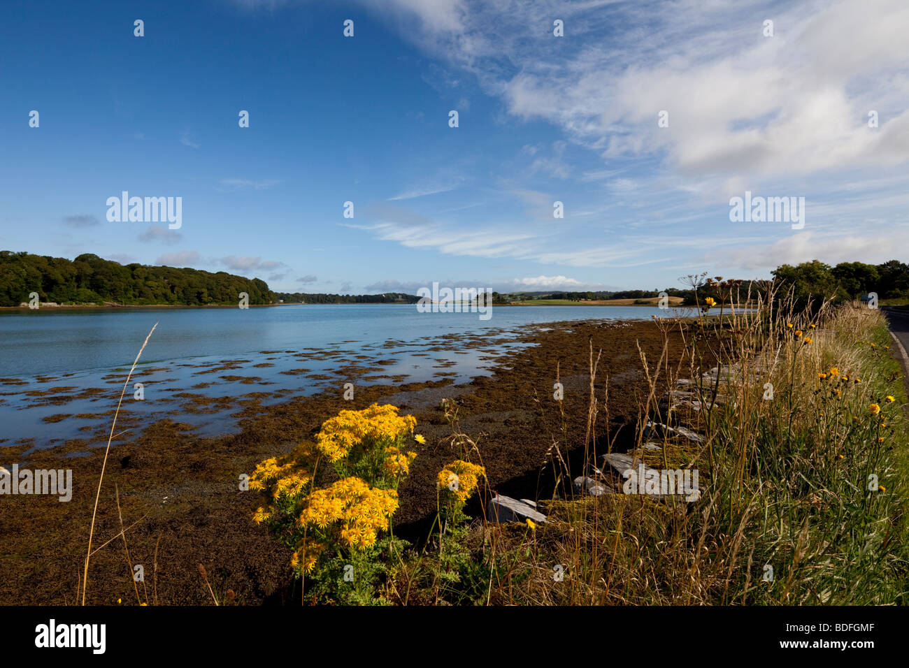 Strangford Lough, Northern Ireland, UK Stock Photo - Alamy