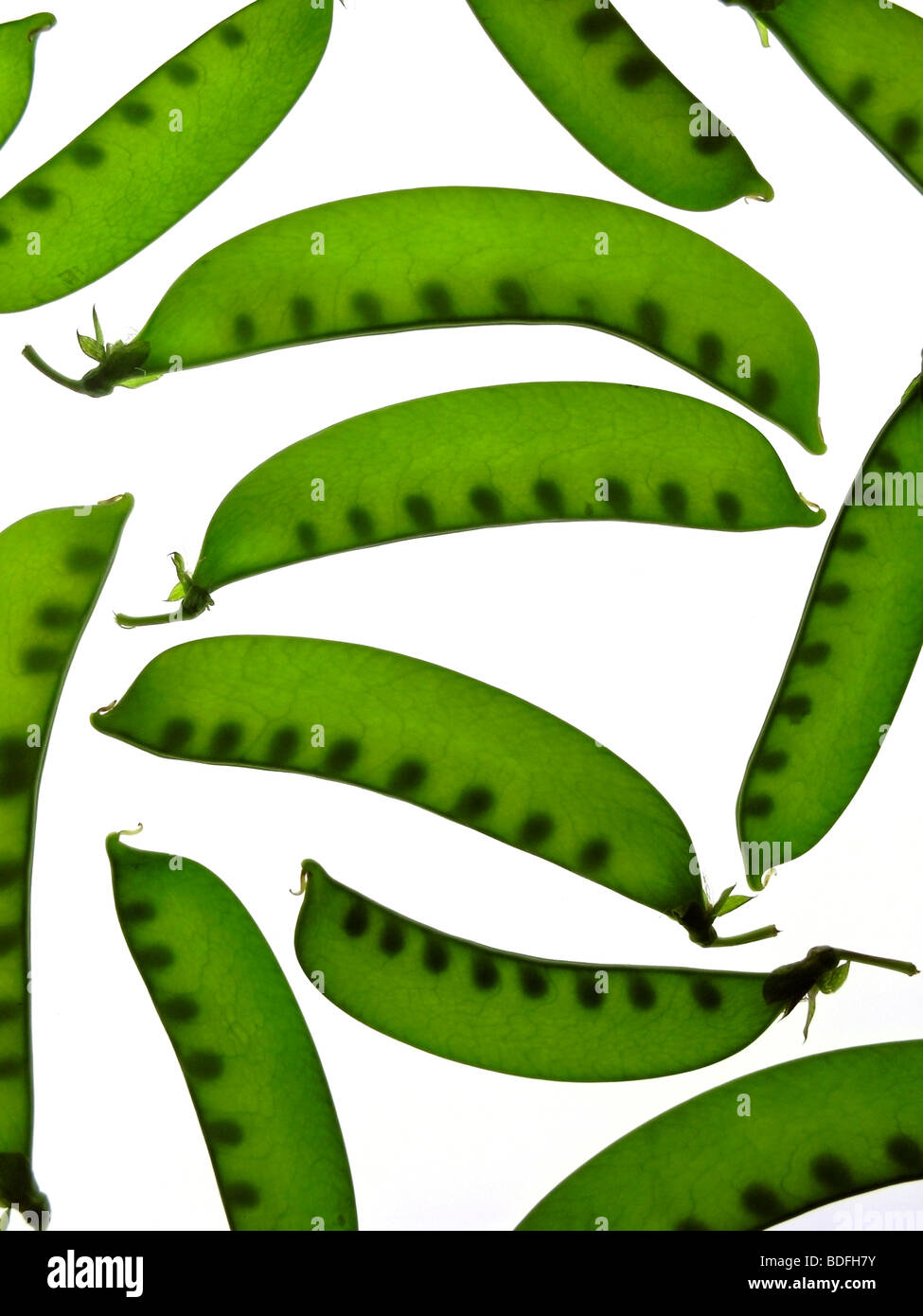 Pea pod interior hi-res stock photography and images - Alamy