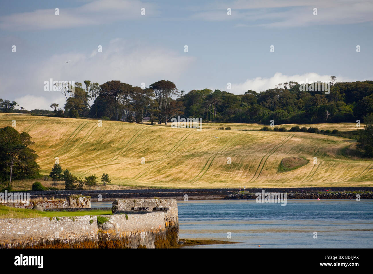 Strangford Lough, Northern Ireland, UK Stock Photo - Alamy
