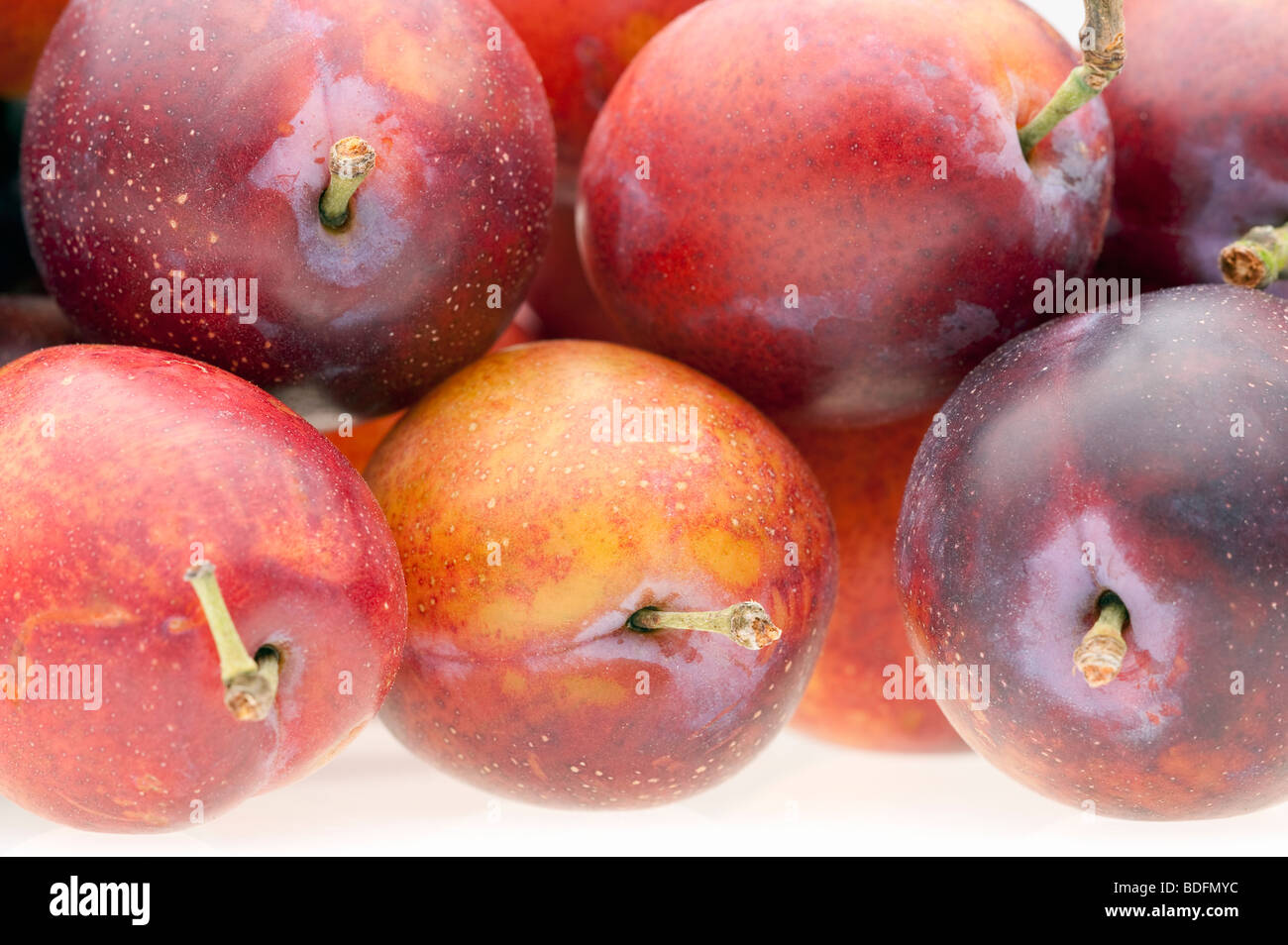English plums hi-res stock photography and images - Alamy