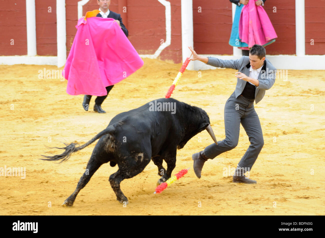 Image of bullfighting festivals Stock Photo - Alamy